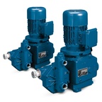 Neptune Electronic & Hydraulic Diaphragm Chemical Metering Pumps