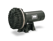 Pentair STA-RITE Submersible & Centrifugal Pumps | PumpCatalog.com