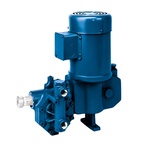 Neptune Electronic & Hydraulic Diaphragm Chemical Metering Pumps