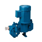 Neptune Electronic & Hydraulic Diaphragm Chemical Metering Pumps