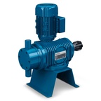 Neptune Electronic & Hydraulic Diaphragm Chemical Metering Pumps