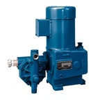 Neptune Electronic & Hydraulic Diaphragm Chemical Metering Pumps